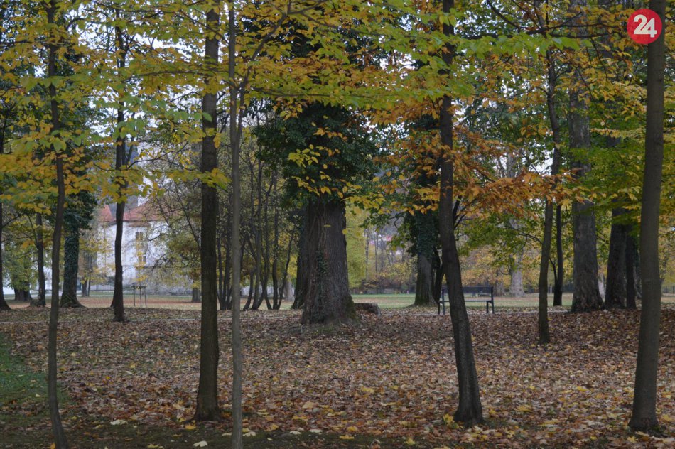 Jesenné pohľady na Budatínsky park: Prechádzka v každom počasí