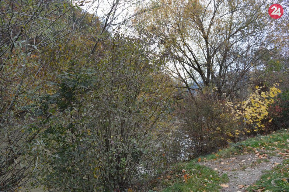 Jesenné pohľady na Budatínsky park: Prechádzka v každom počasí